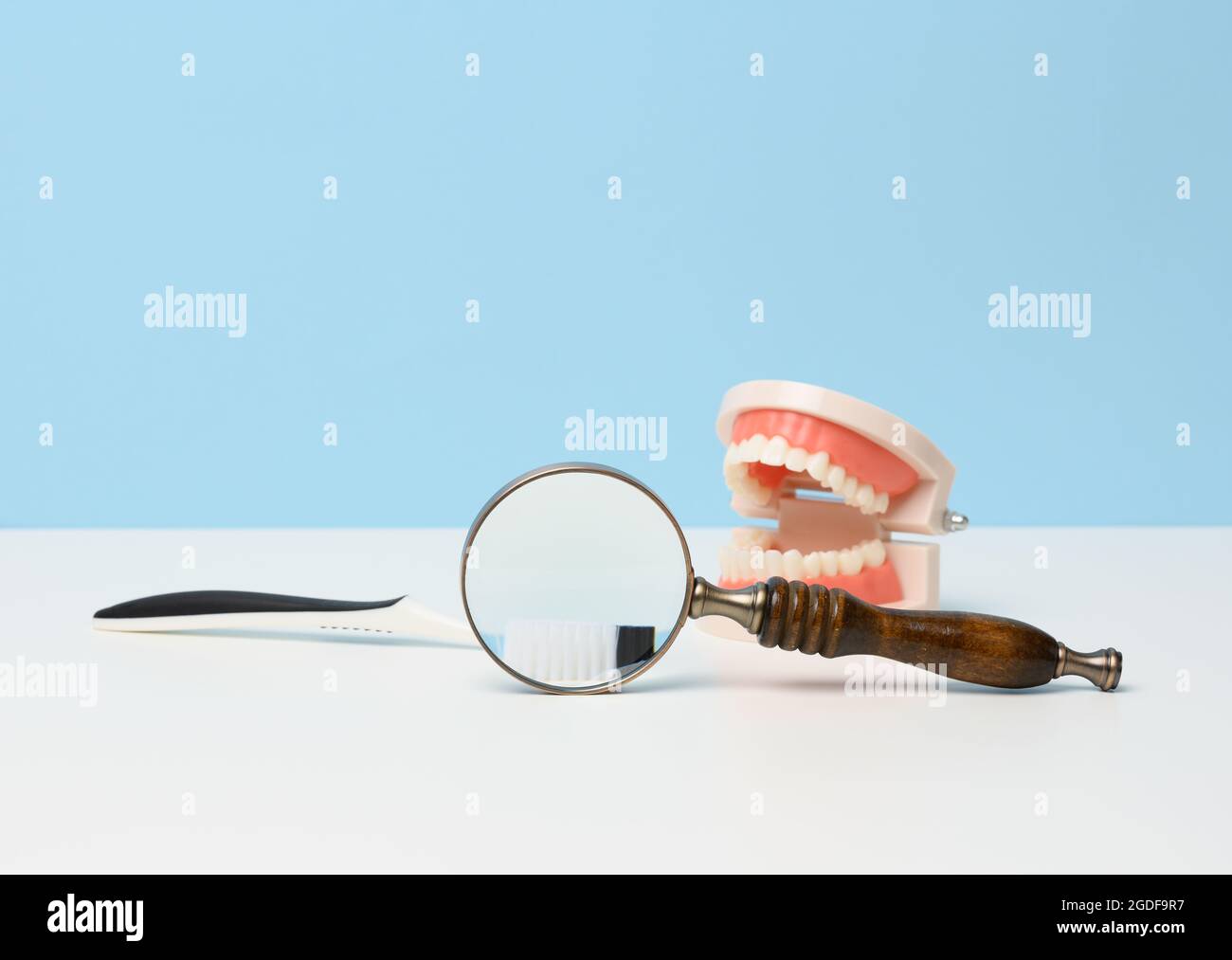 Magnifier, toothbrush and a plastic model of a human jaw with white ...