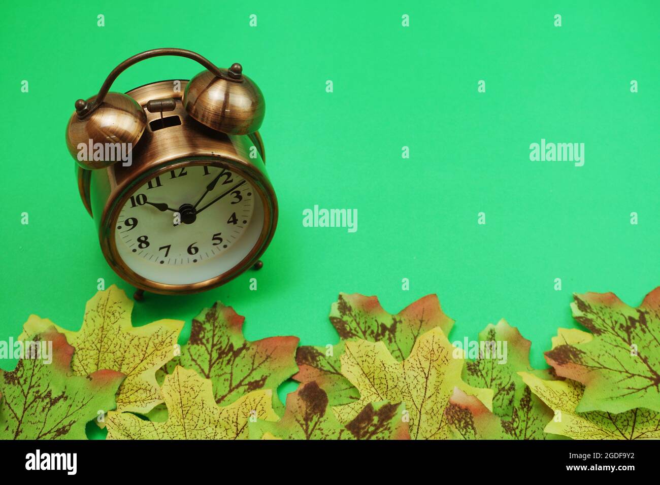 Alarm clock with Maple leaf border on green background Stock Photo - Alamy