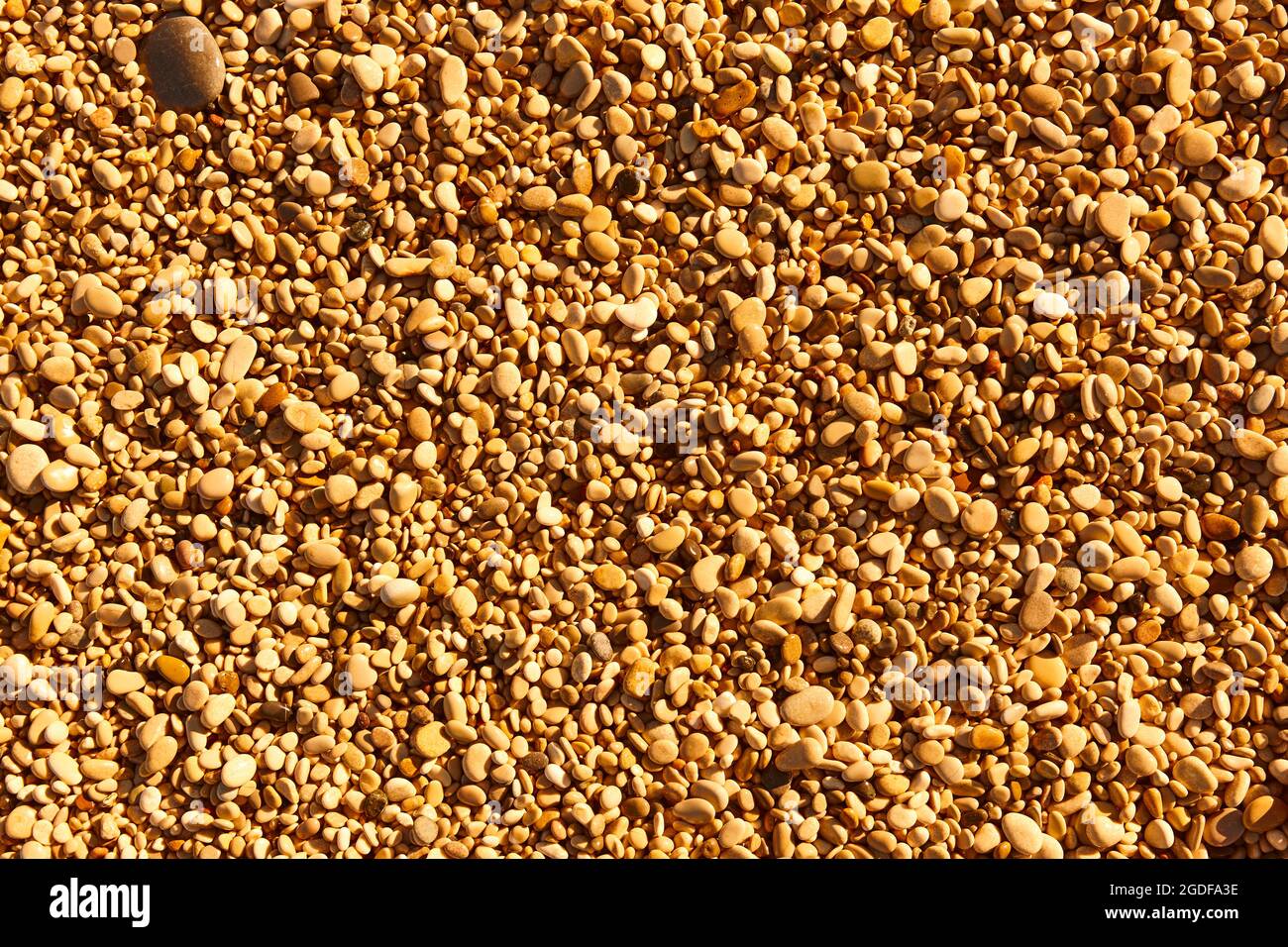 Mediterranean shoreline pebble beach. Natural golden tone textured ...