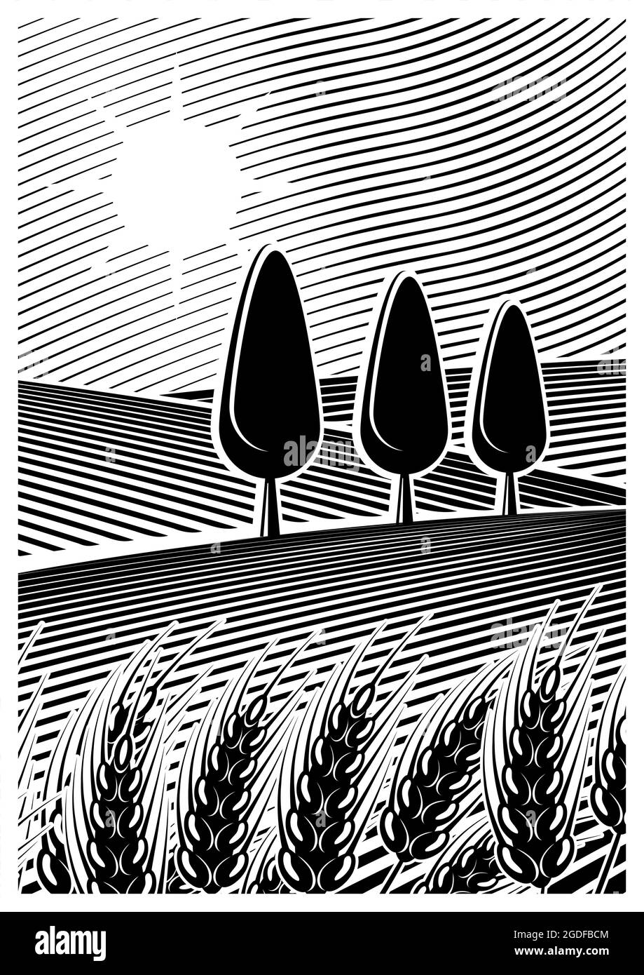 Landscape vineyard grape farming Cut Out Stock Images & Pictures - Alamy