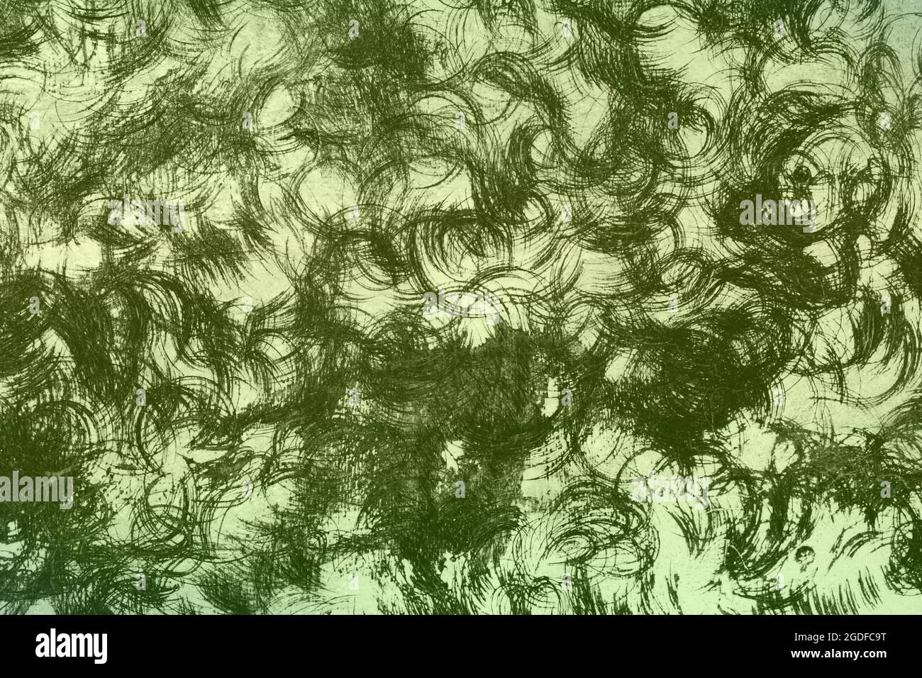 nice green grunge circle scratched material texture - abstract photo ...