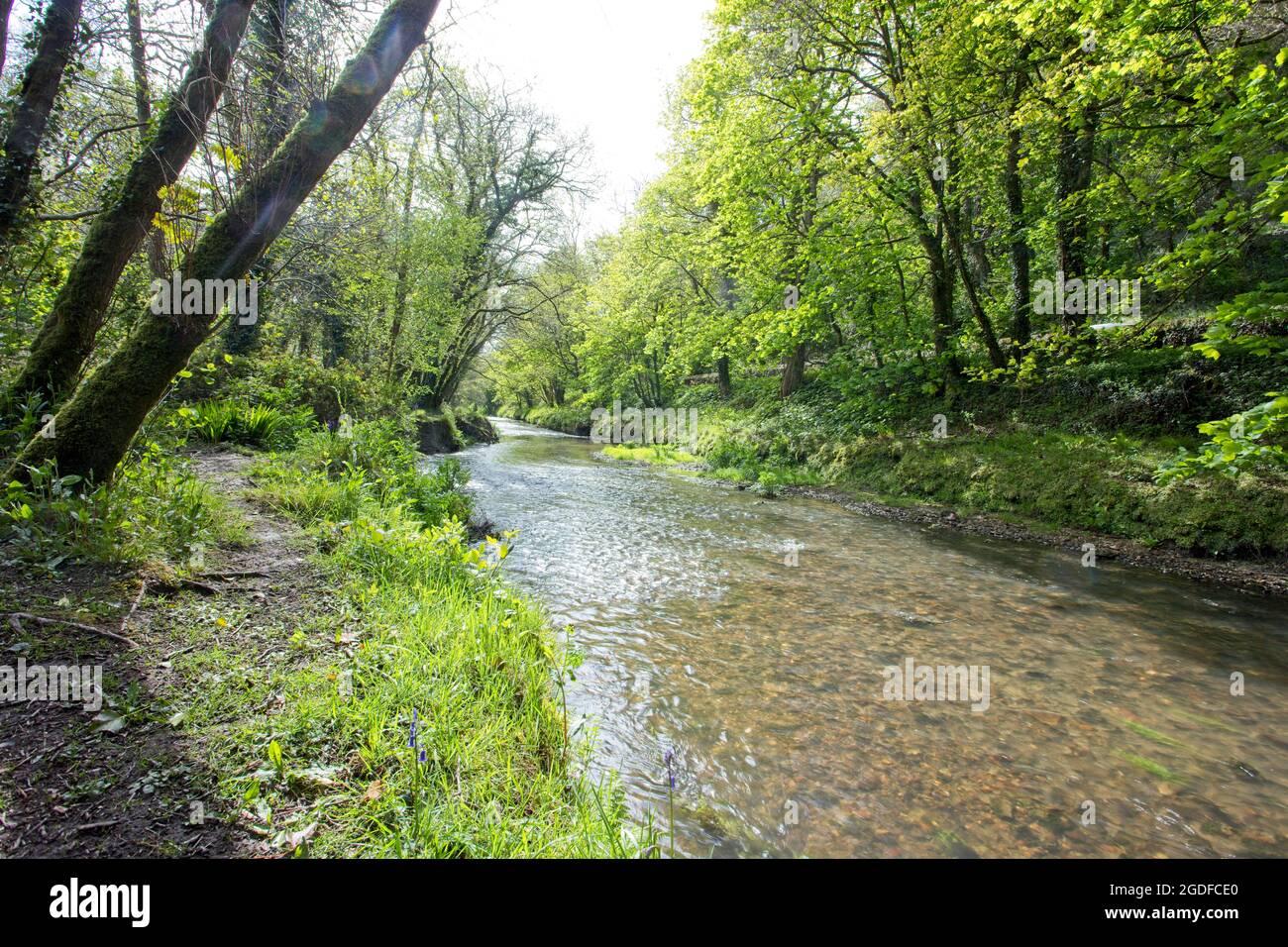 Cornish natural spring water hi-res stock photography and images - Alamy