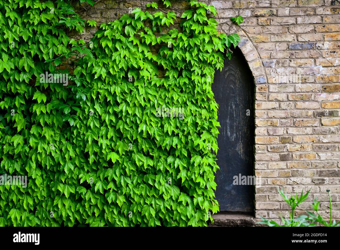 Hidden Door High Resolution Stock Photography and Images - Alamy