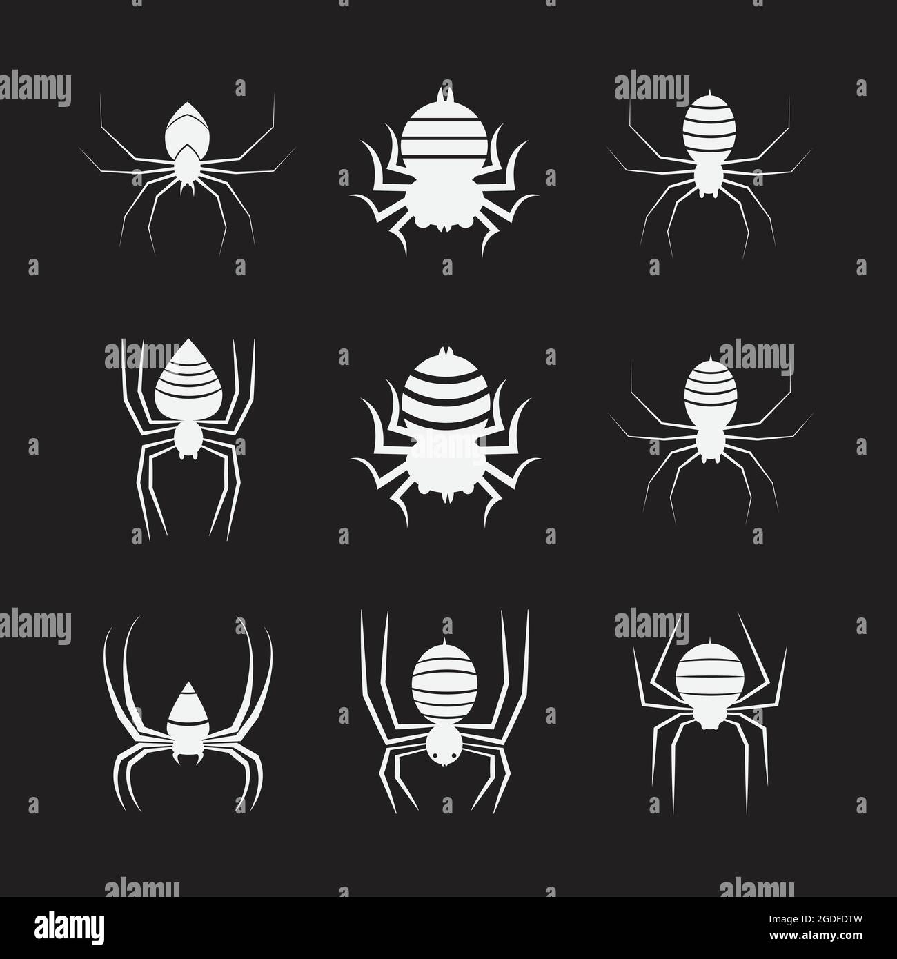 Vector group of spiders on black background. Insect. Animals. Spiders ...