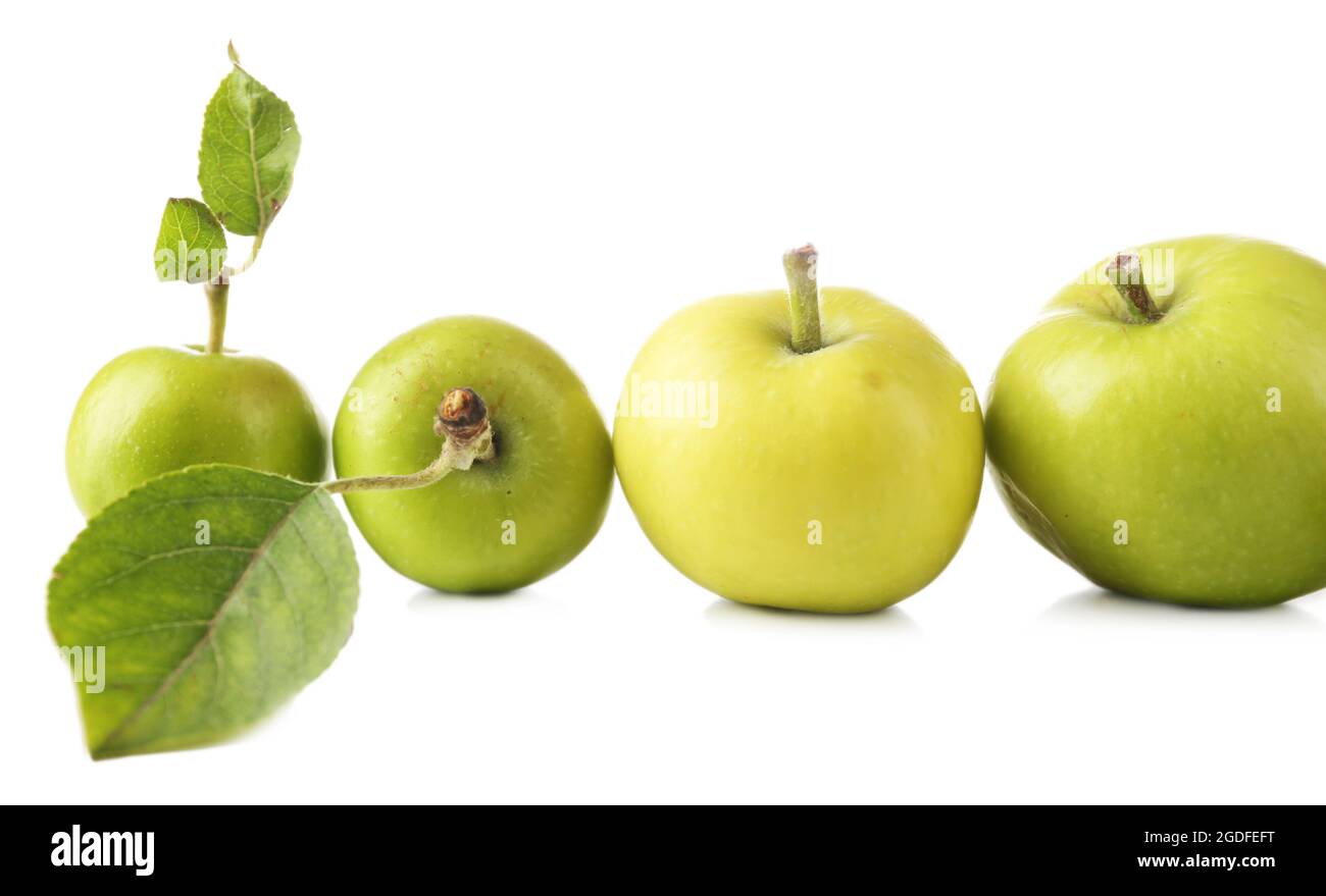Green apples isolated on white Stock Photo - Alamy