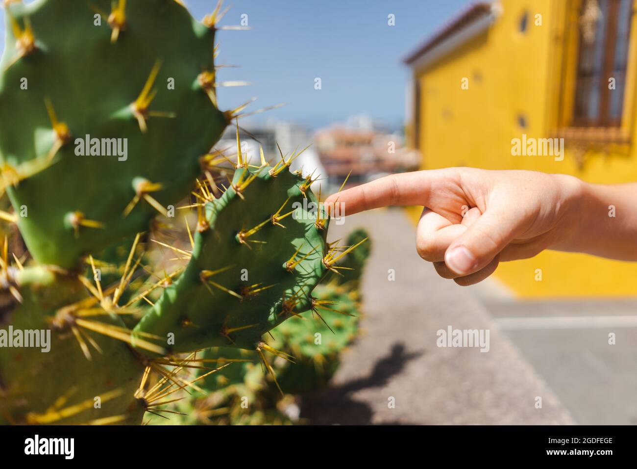 Touch of botanical detail hi-res stock photography and images - Alamy