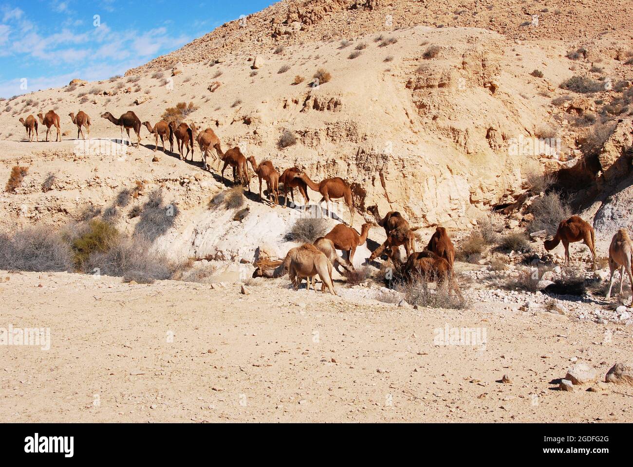 Le Grau du Roi in France, salt mining in the camargue, flour de sel ...