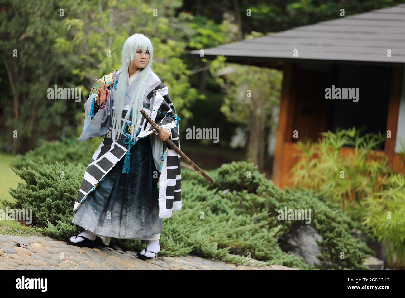samurai cosplay in nature Stock Photo - Alamy