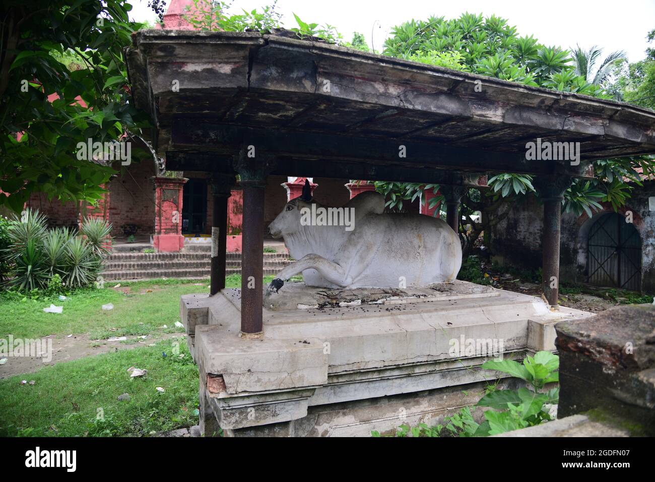 Nandi of Shiva Mandir of Itachuna Rajbari or Bargee Danga. Bejoy ...