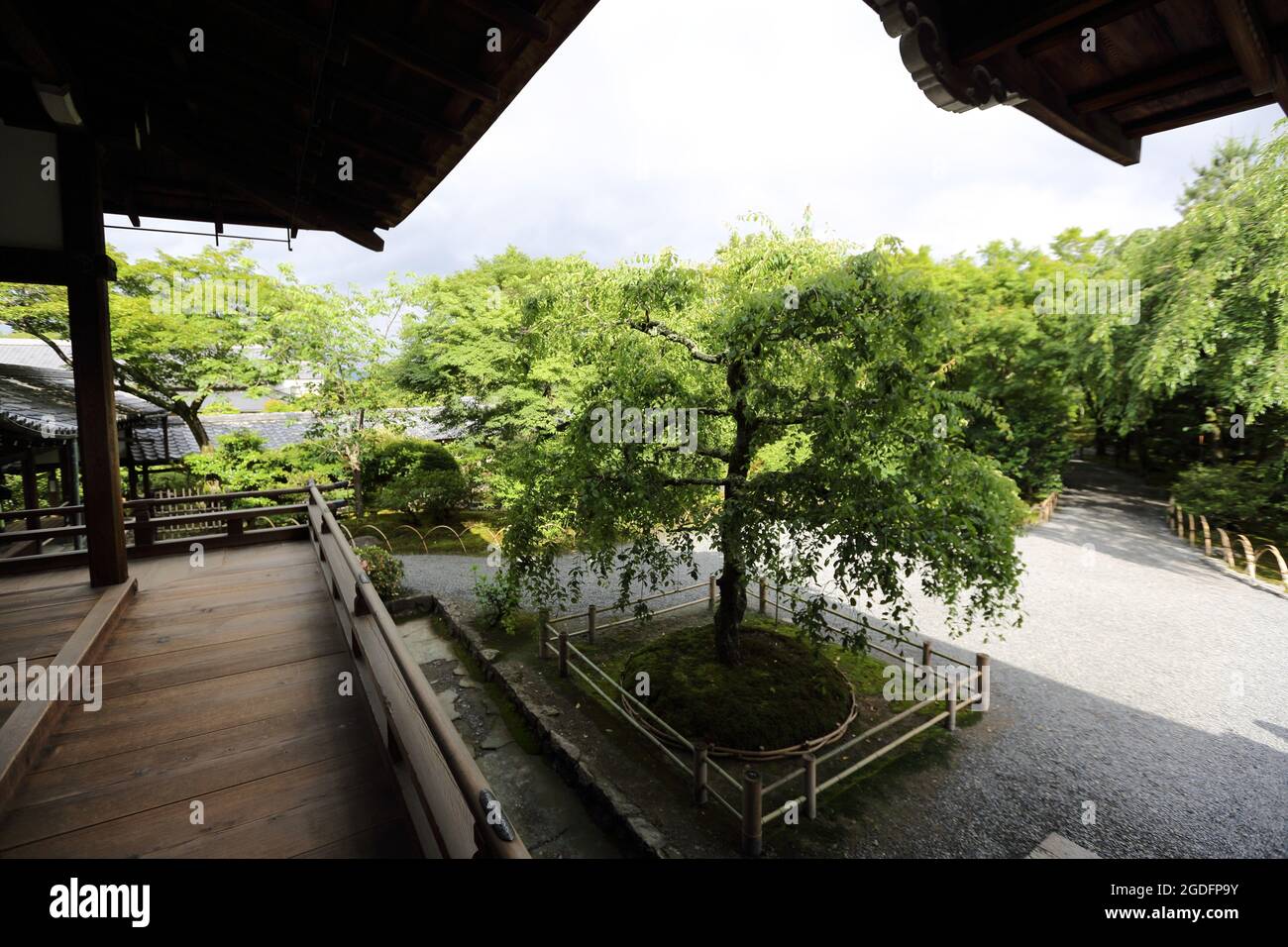 Japan temple wood walk way with Japanese garden , Kyoto Temple Japan ...