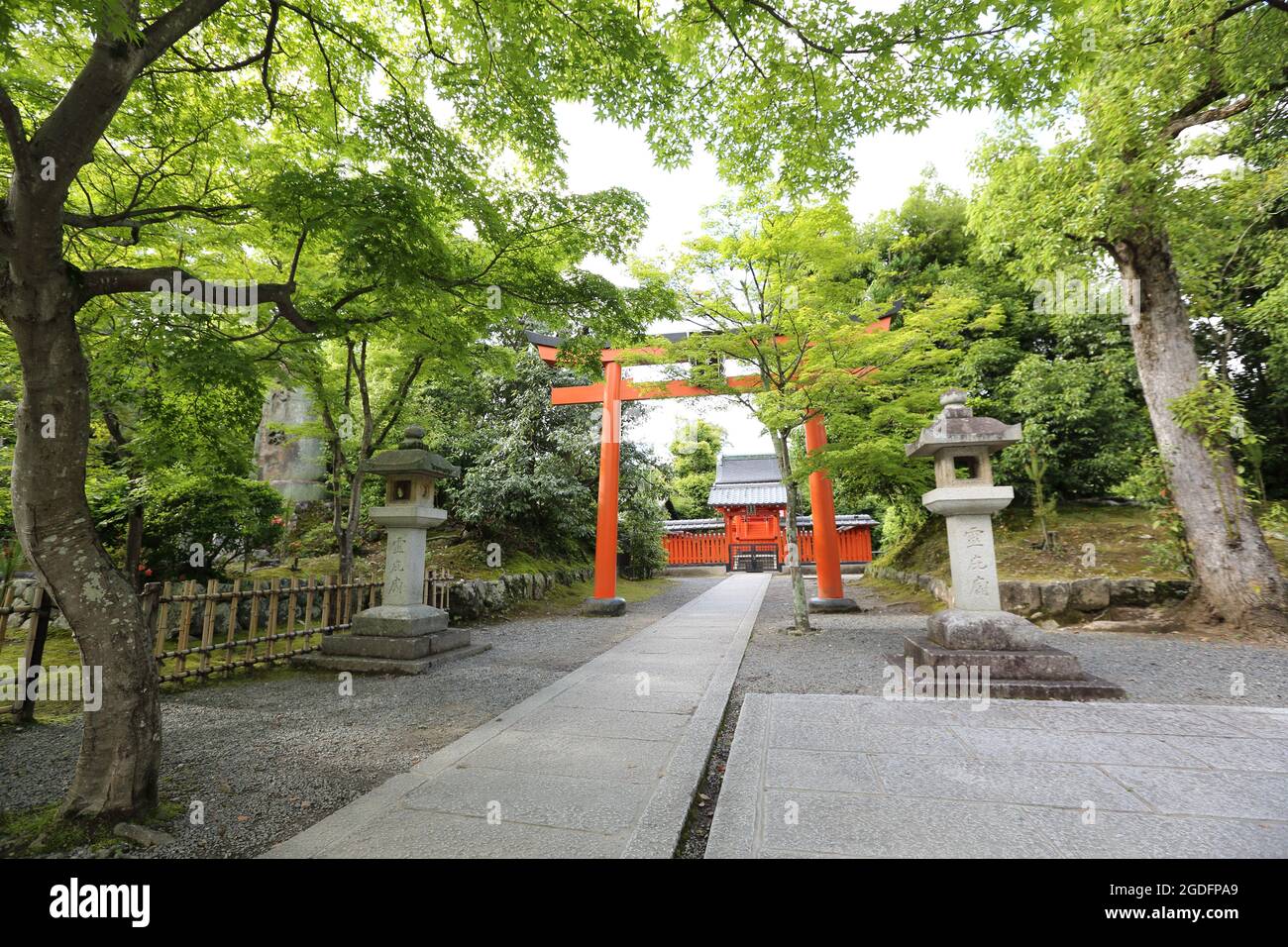 Japanese Temple with Japanese red Gate and green maple leaves in Kyoto ...