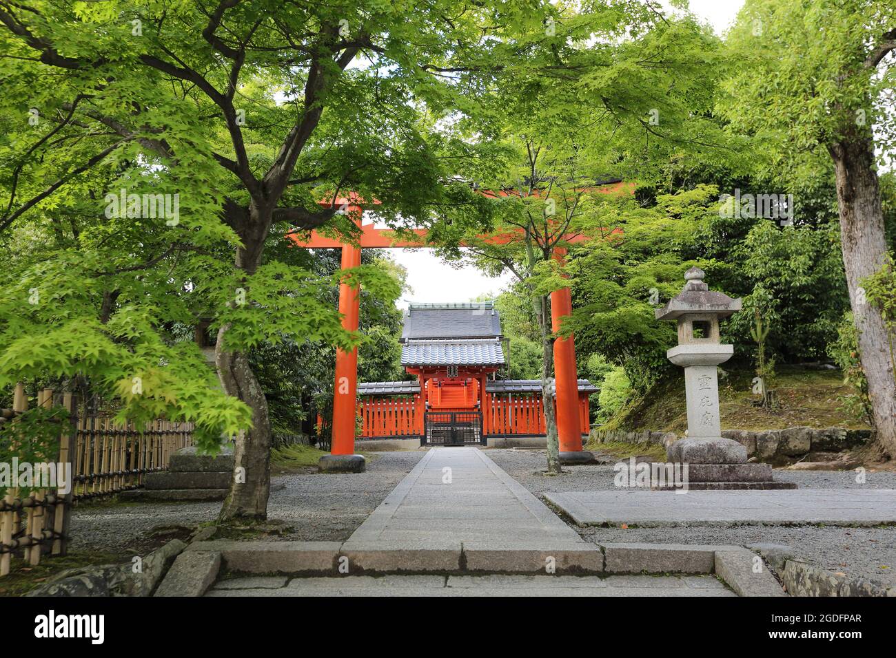 Japanese Temple with Japanese red Gate and green maple leaves in Kyoto ...