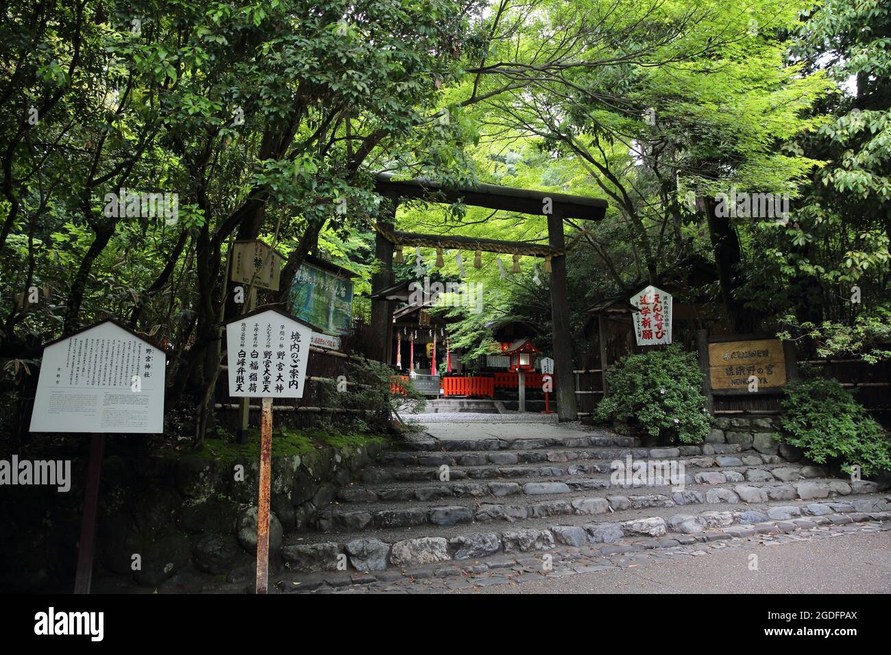 Japanese Temple with Japanese red Gate and green maple leaves in Kyoto ...