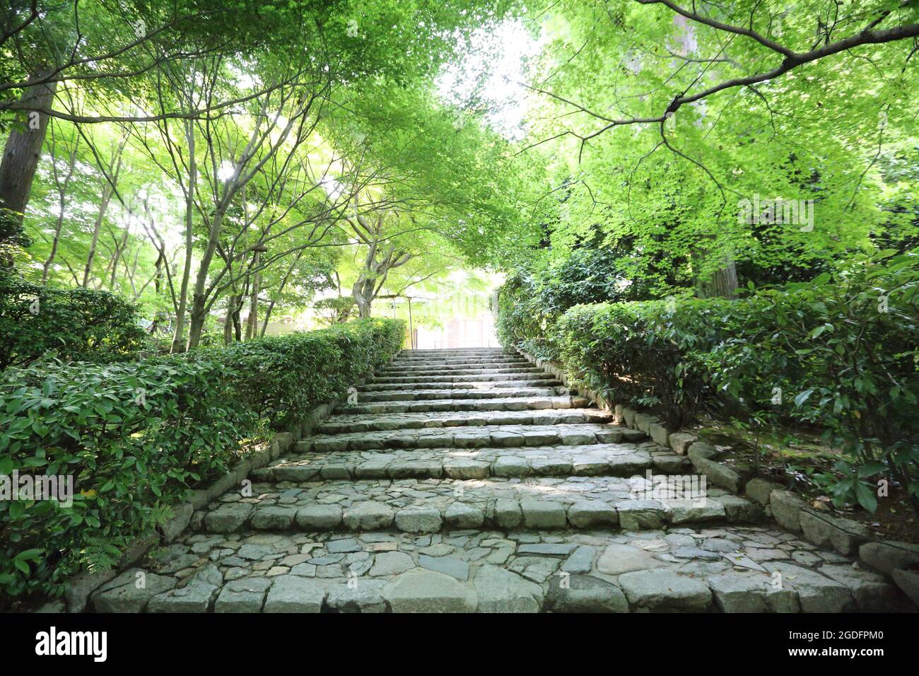 Old japanese trail hi-res stock photography and images - Alamy
