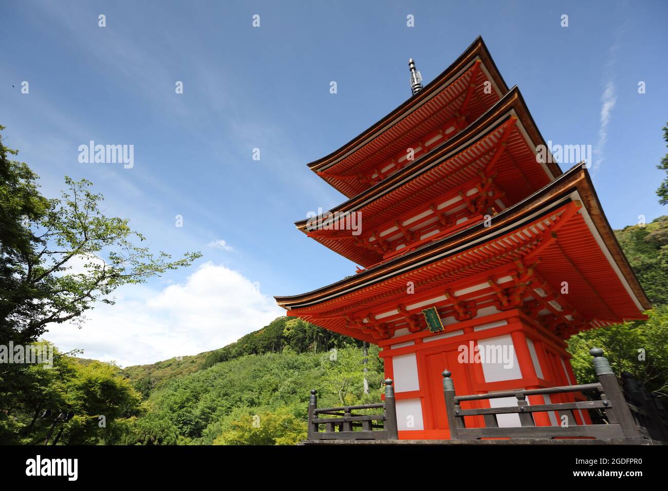 Japanese Temple and green maple leaves in Kyoto Japan Stock Photo - Alamy