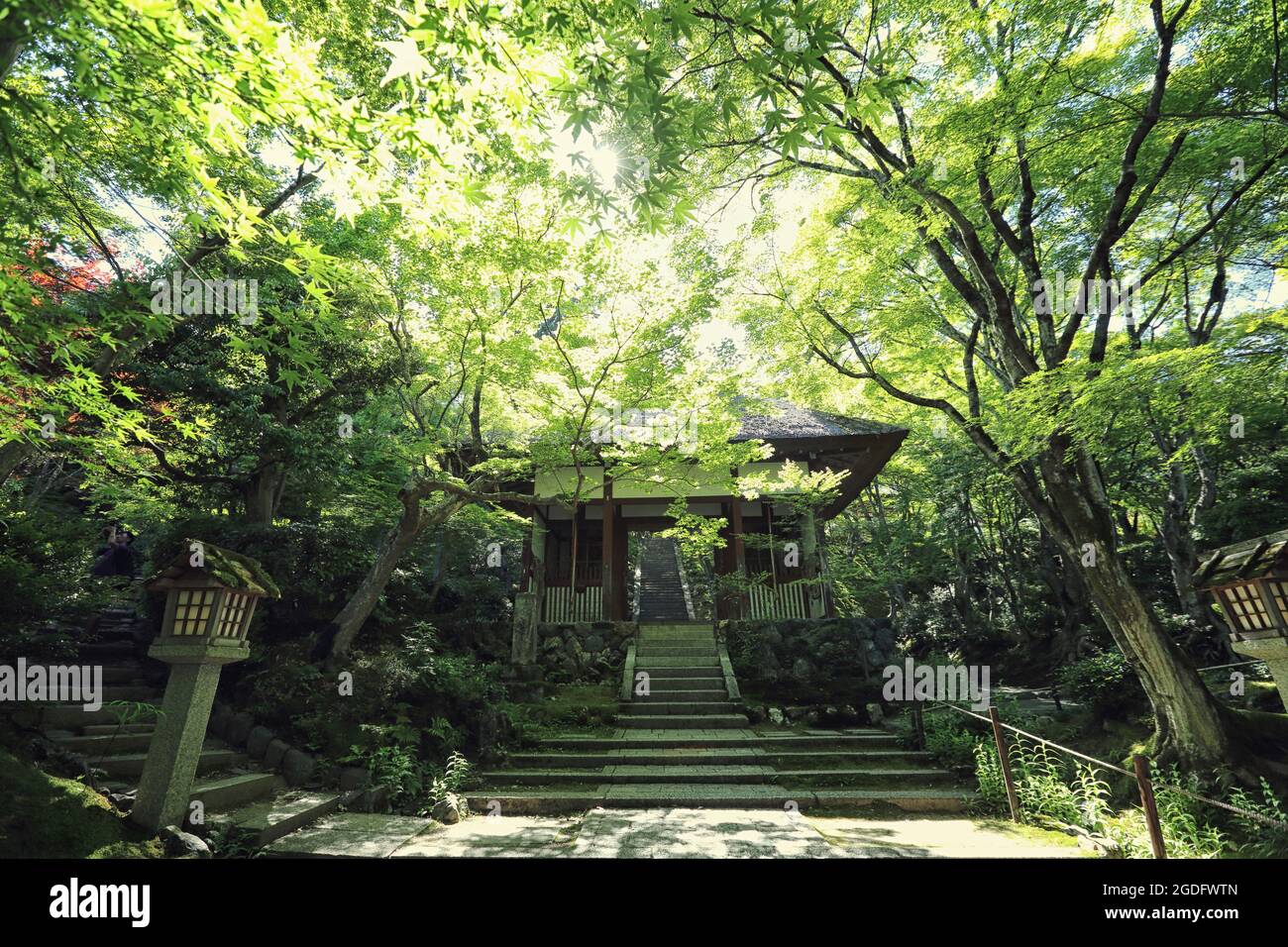 Japanese temple in garden Stock Photo - Alamy