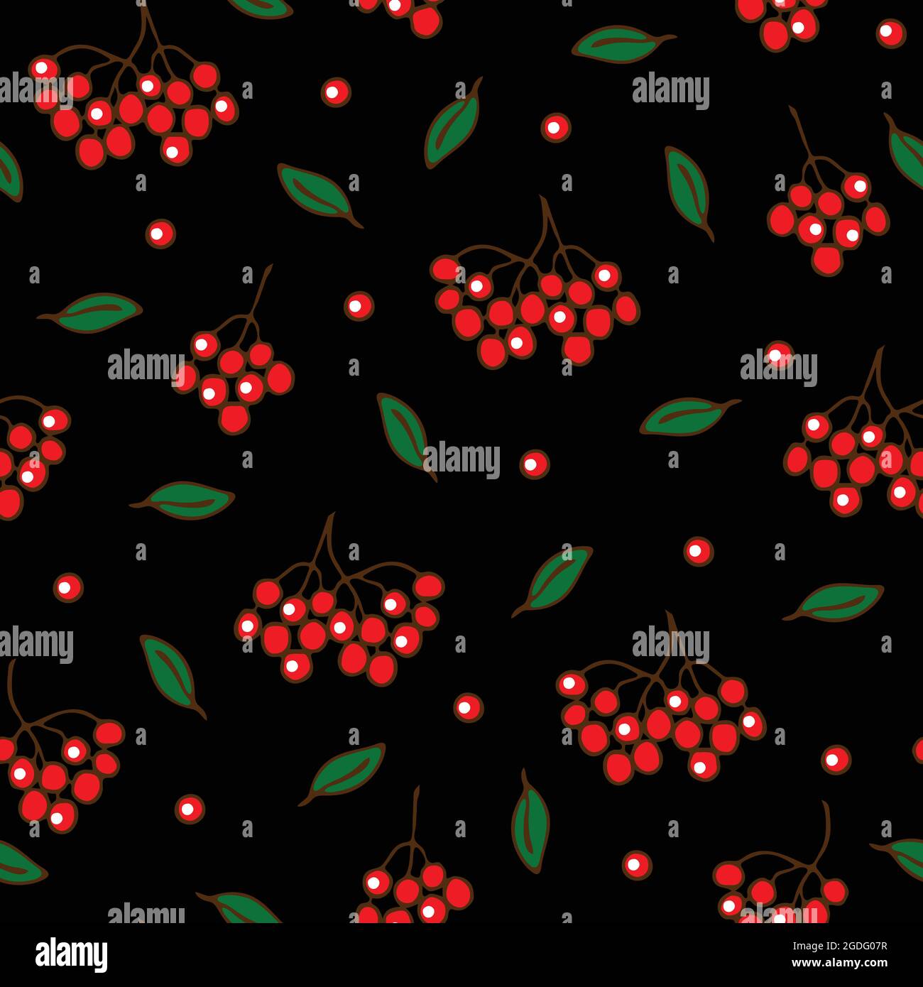 Cranberry on black background Stock Vector Images - Alamy