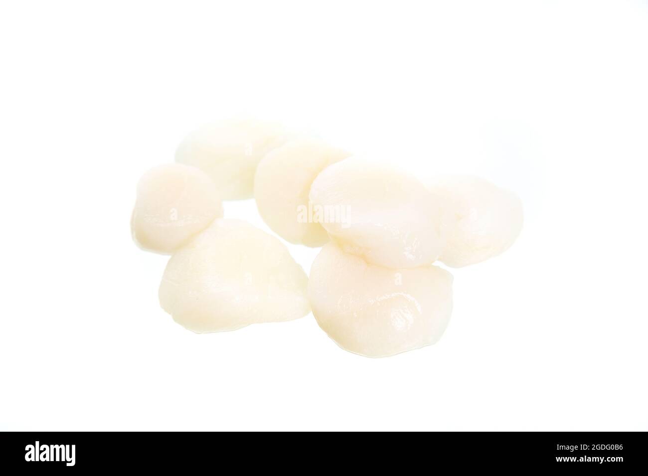 Scallops isolated in white background Stock Photo - Alamy