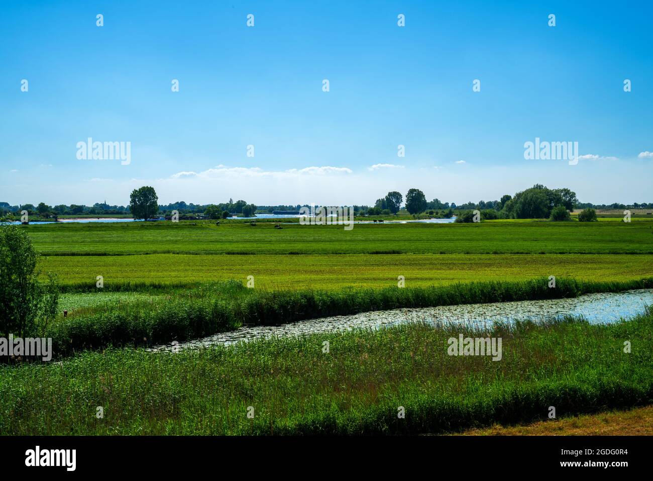 Panoramic landscape at the river Lek (Rhine), Netherlands Stock Photo ...