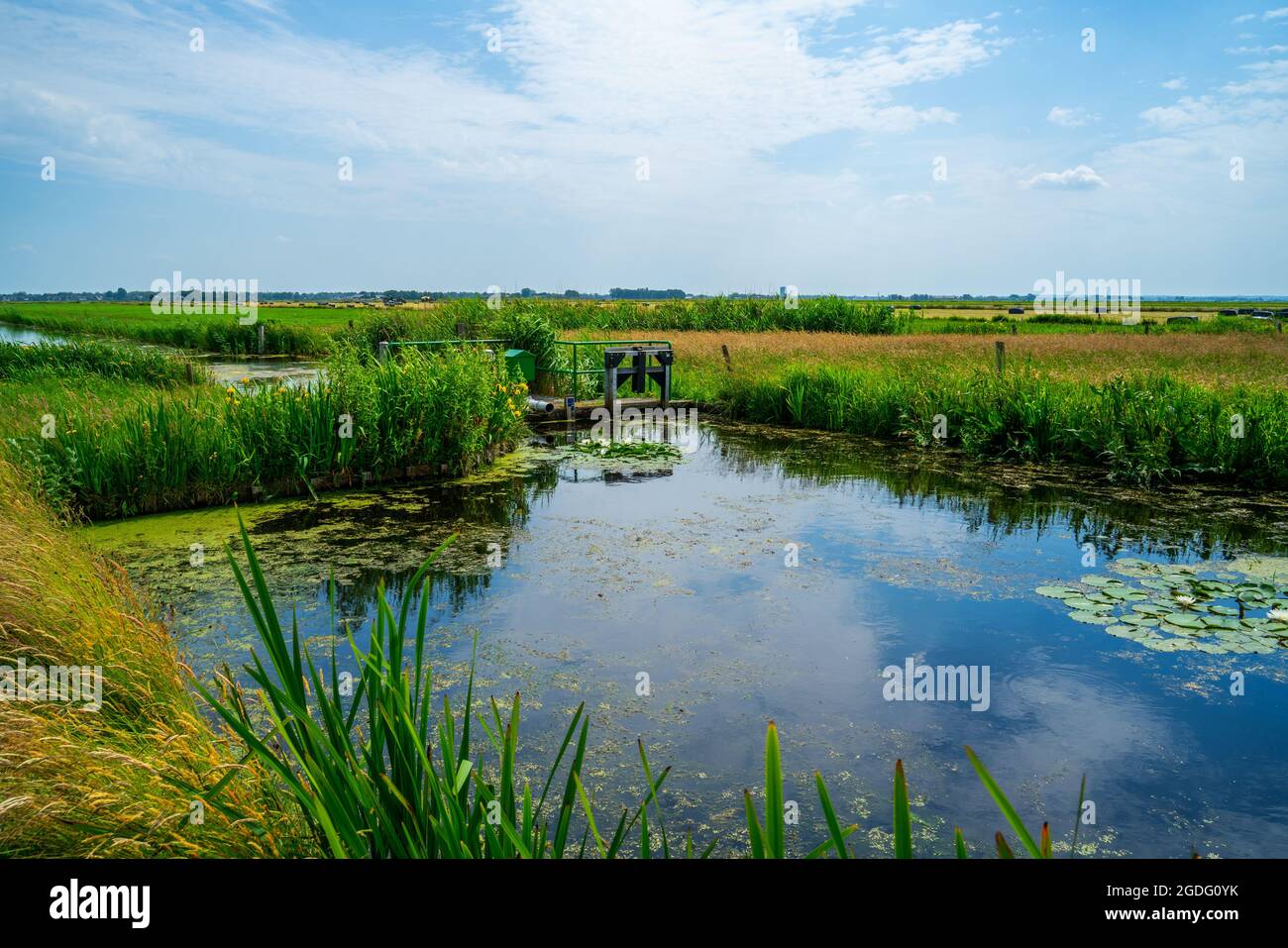 Panoramic polder landscape with a pond and a weir Stock Photo - Alamy
