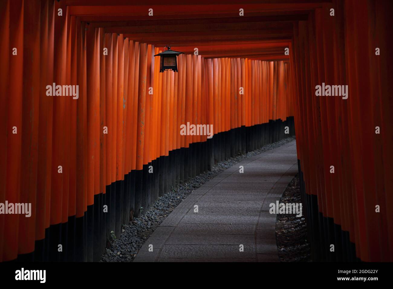 Red Tori Gate at Fushimi Inari Shrine in Kyoto , Japan Stock Photo - Alamy