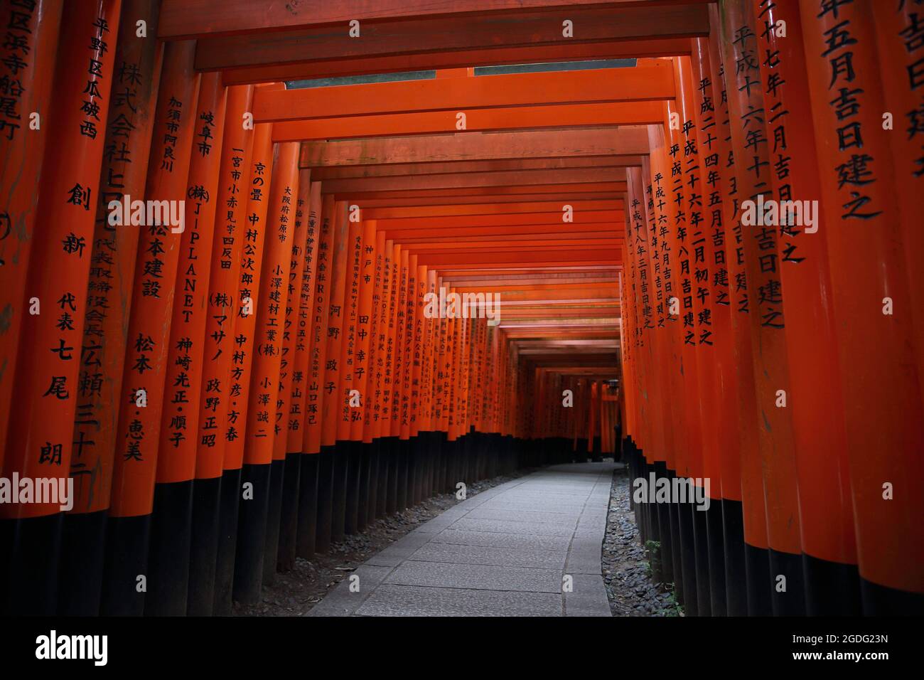 Red Tori Gate at Fushimi Inari Shrine in Kyoto , Japan Stock Photo - Alamy