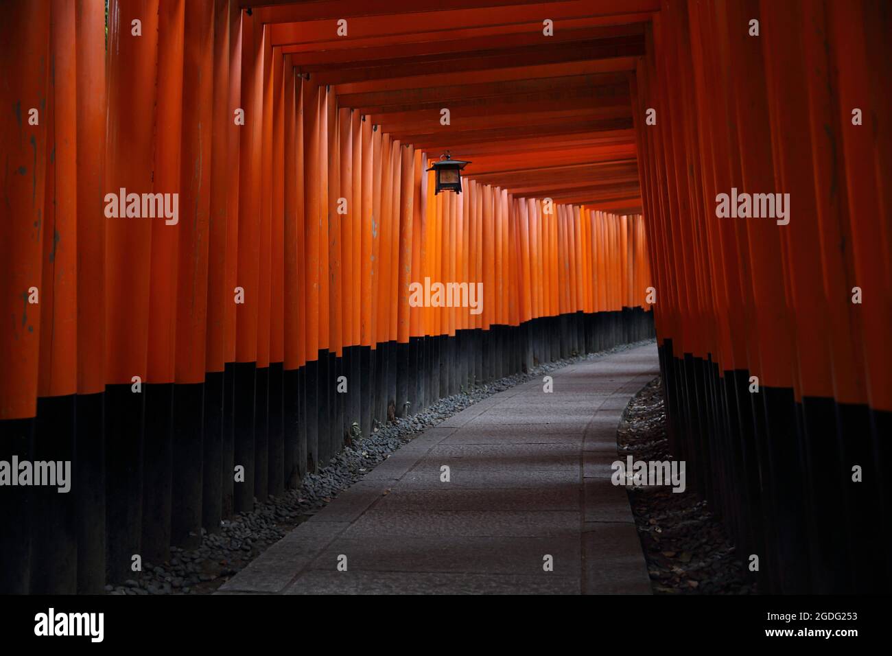 Red Tori Gate at Fushimi Inari Shrine in Kyoto , Japan Stock Photo - Alamy