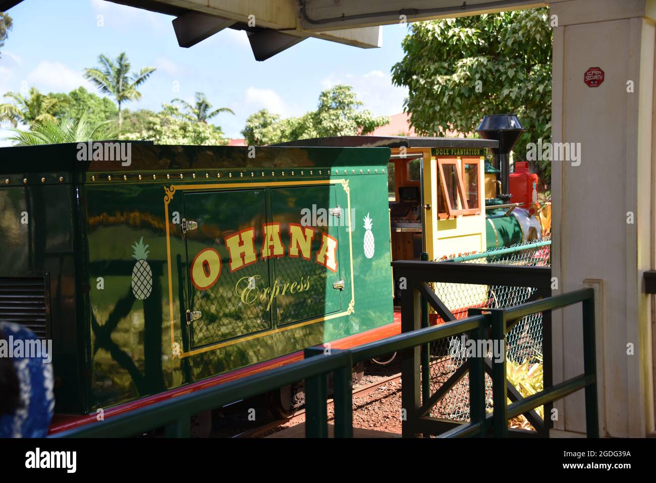 Dole plantation pineapple maze hi-res stock photography and images - Alamy