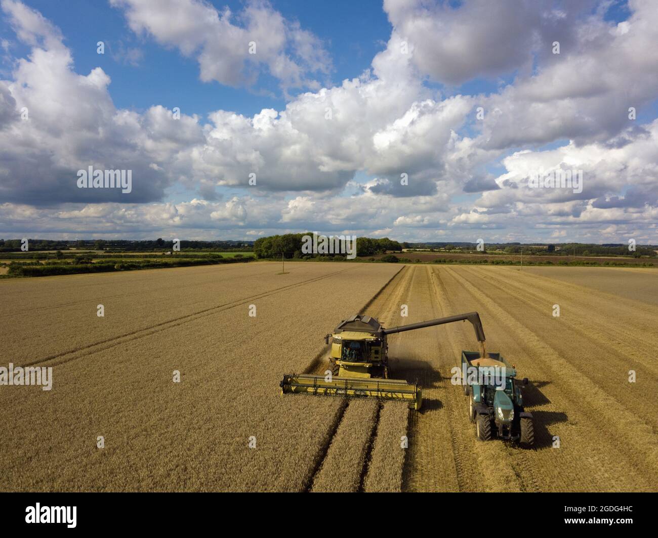 Tractor and combine harvester harvesting wheat field, elevated view ...