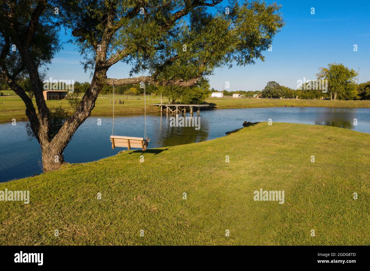 Tree swing by a Pond Stock Photo - Alamy