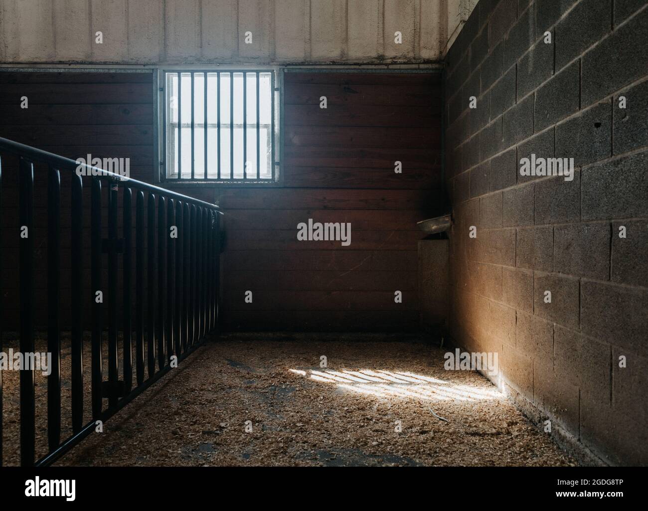 Horse barn stall hi-res stock photography and images - Alamy