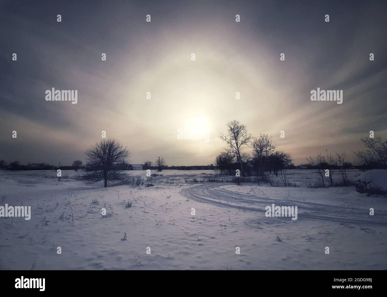 Winter sunset landscape with trees and field road Stock Photo - Alamy