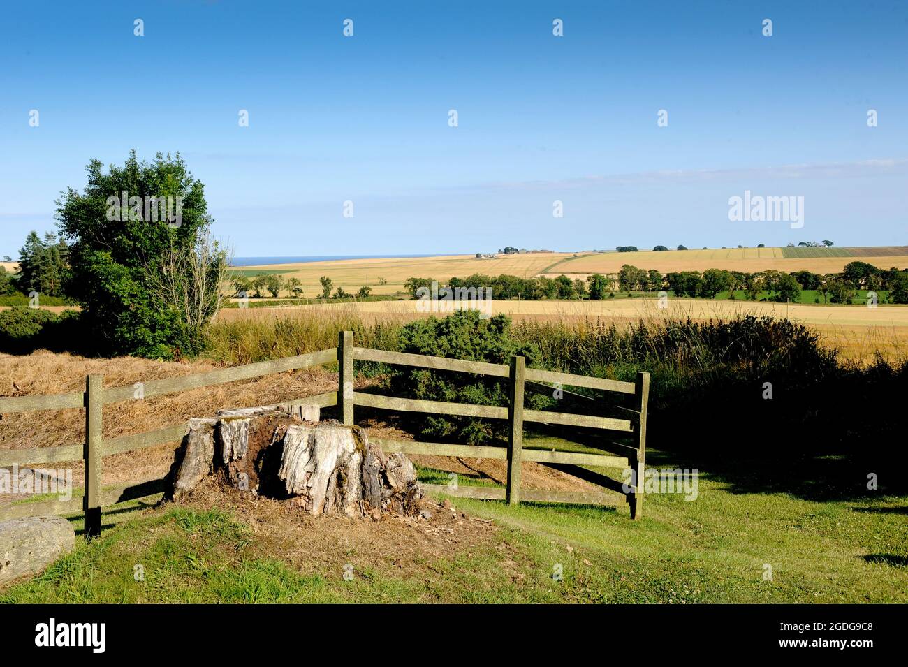 Angus landscape scotland hi-res stock photography and images - Alamy