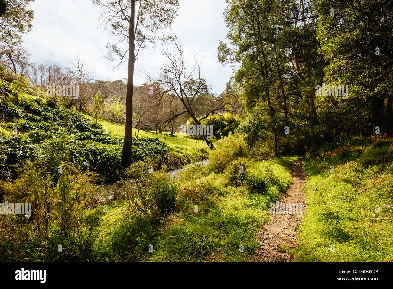 Lorne victoria waterfall hi-res stock photography and images - Alamy