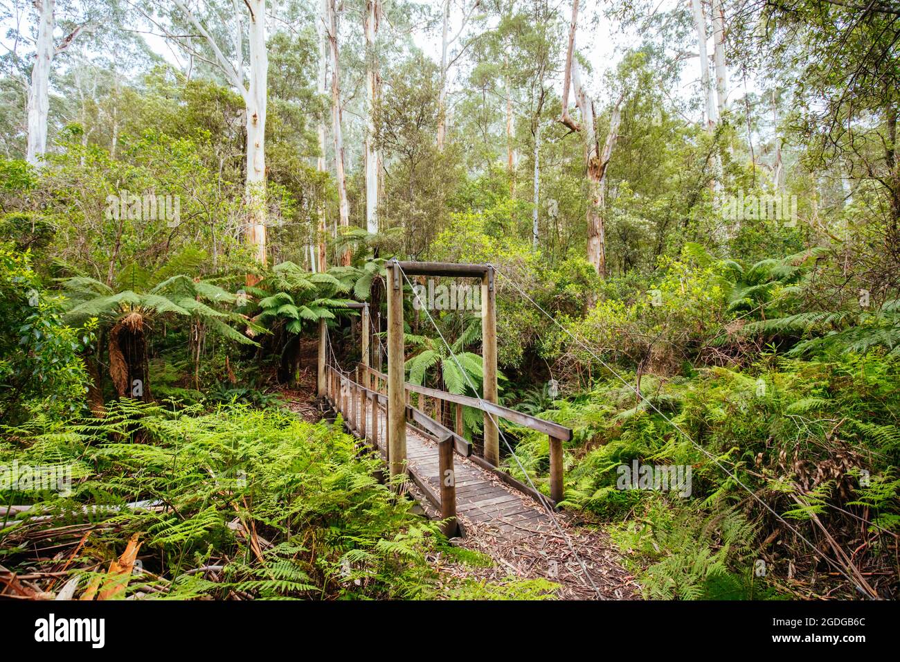 Henderson falls hi-res stock photography and images - Alamy