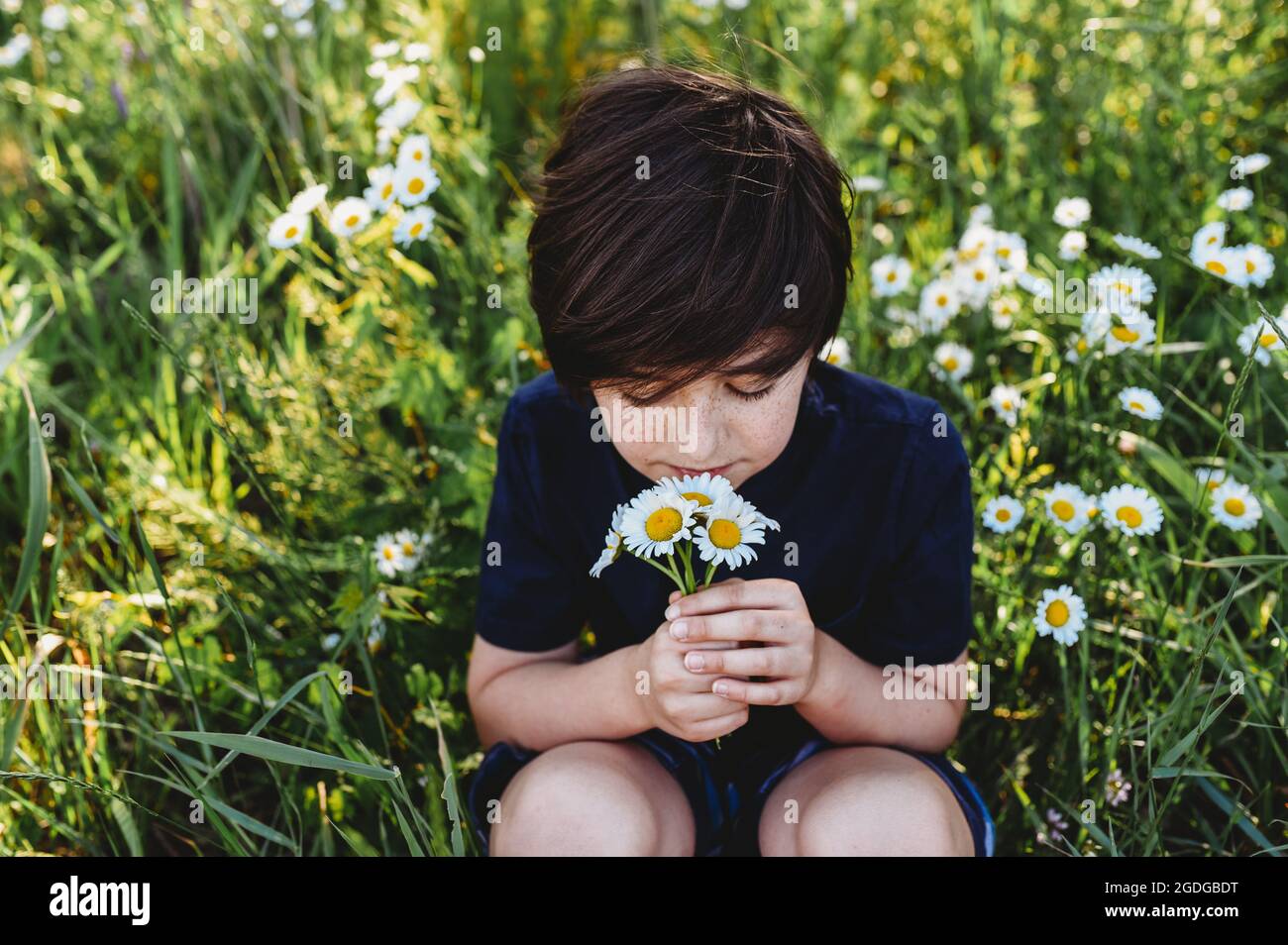Young boy smelling a bouquet of daisies in a field of flowers Stock ...