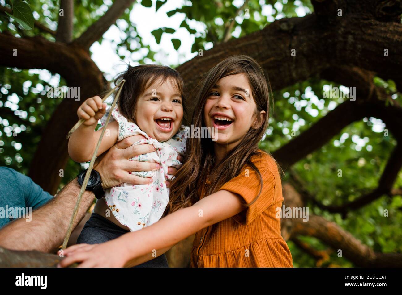 Sisters Sitting in Tree & Laughing in San Diego Stock Photo - Alamy