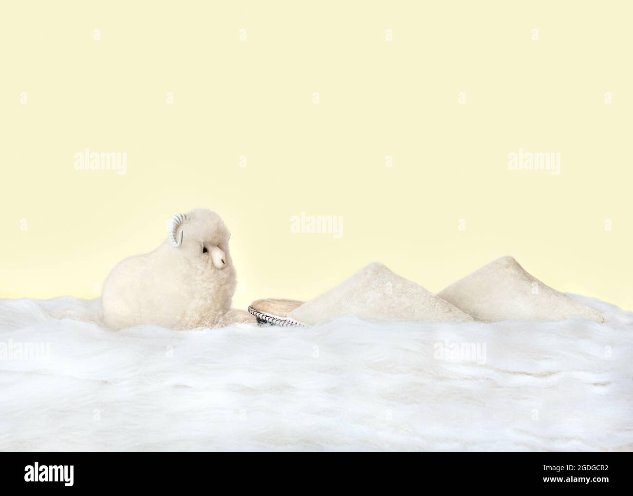 Pile of wool sheep hi-res stock photography and images - Alamy