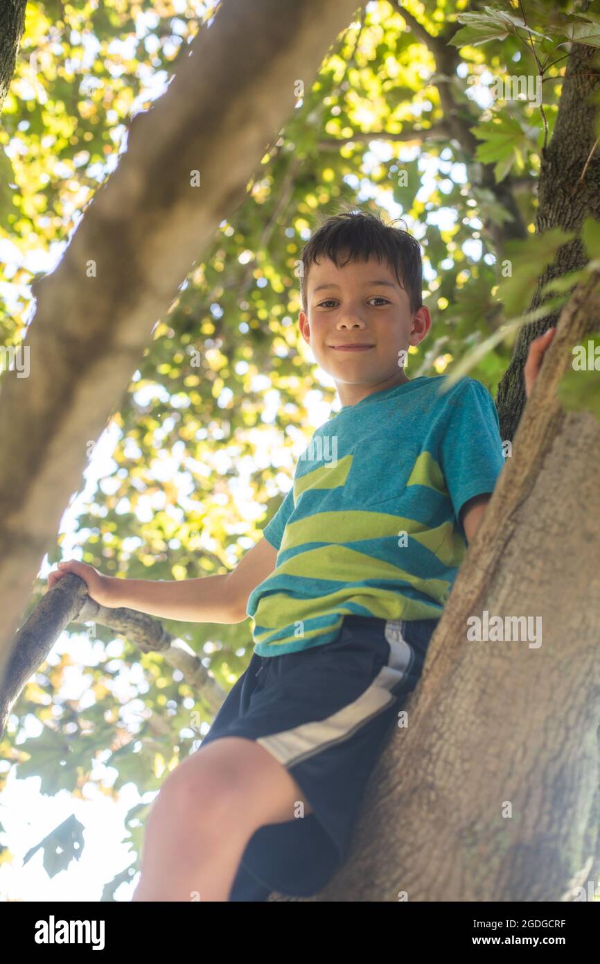 Boy standing in tree he climbed Stock Photo - Alamy