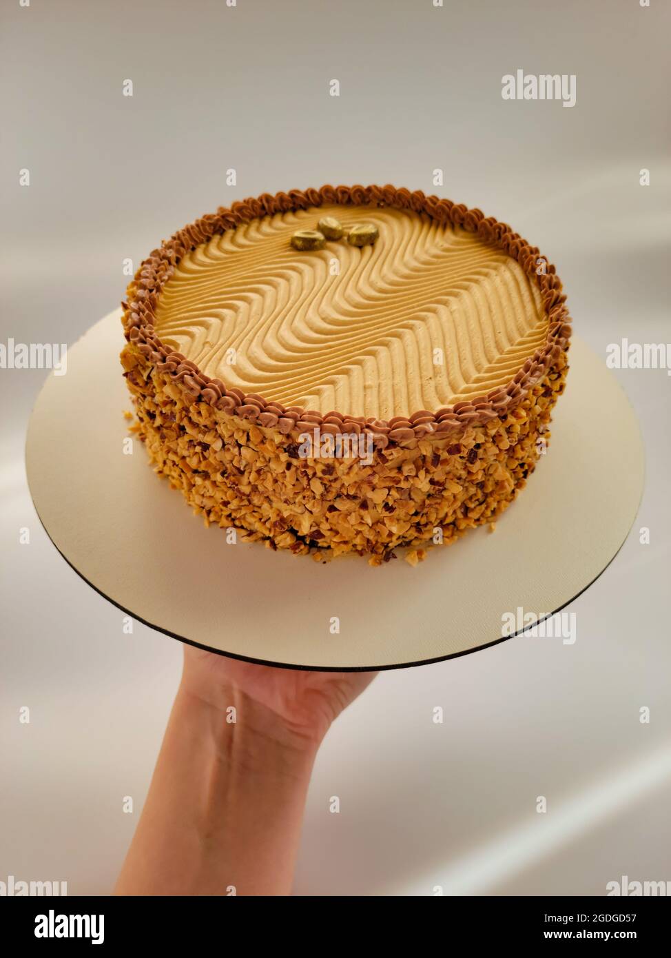 White hand holding traditional french Moka cake, close-up Stock Photo ...