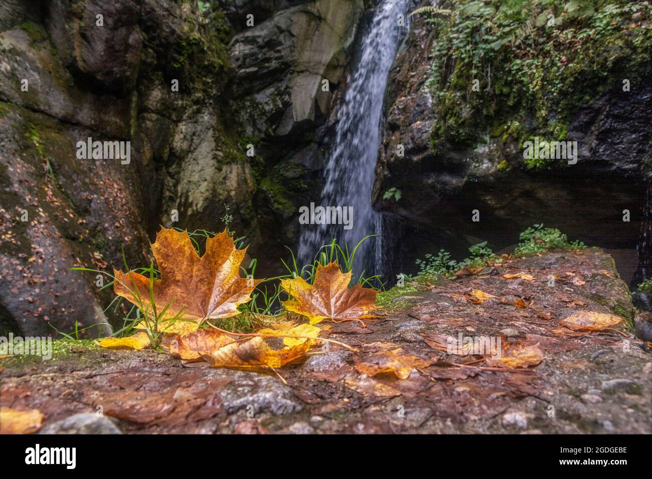 Autumn waterfall scenery with fallen leaves and beautiful fall colors ...