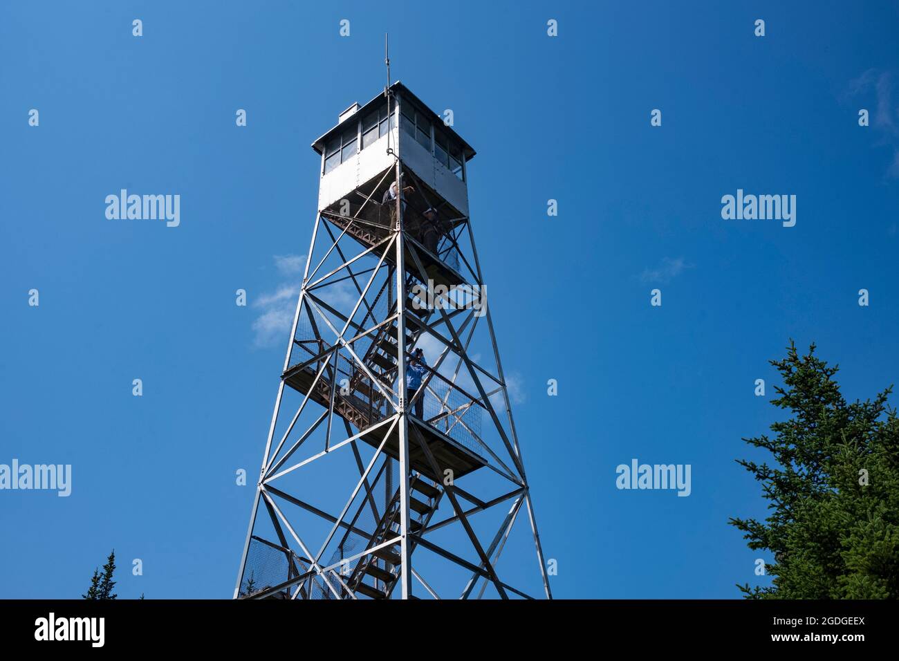 Hardenburgh, NY, USA - July 31, 2021: The Balsam Lake Fire Tower at ...