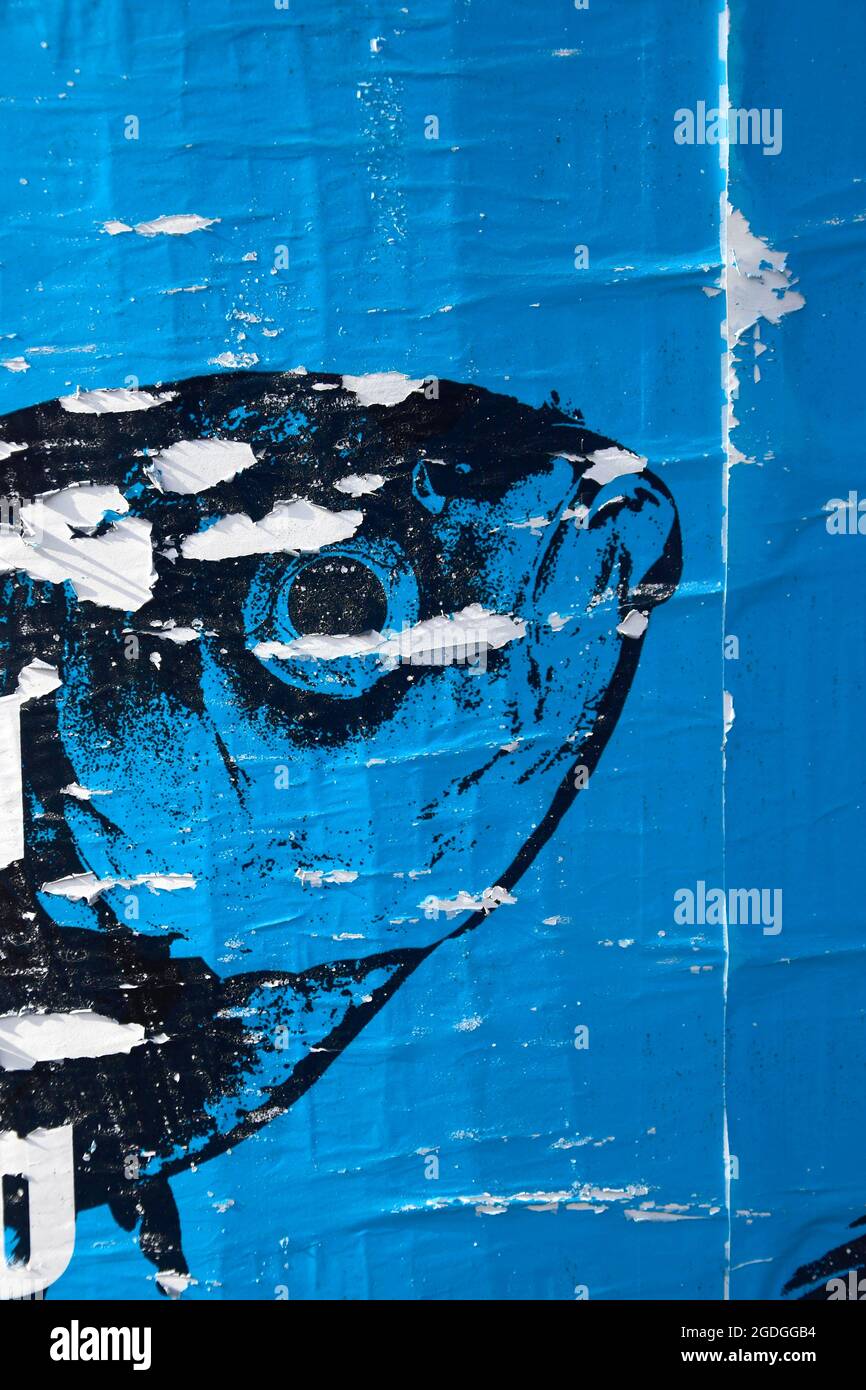 Fish poster hi-res stock photography and images - Alamy