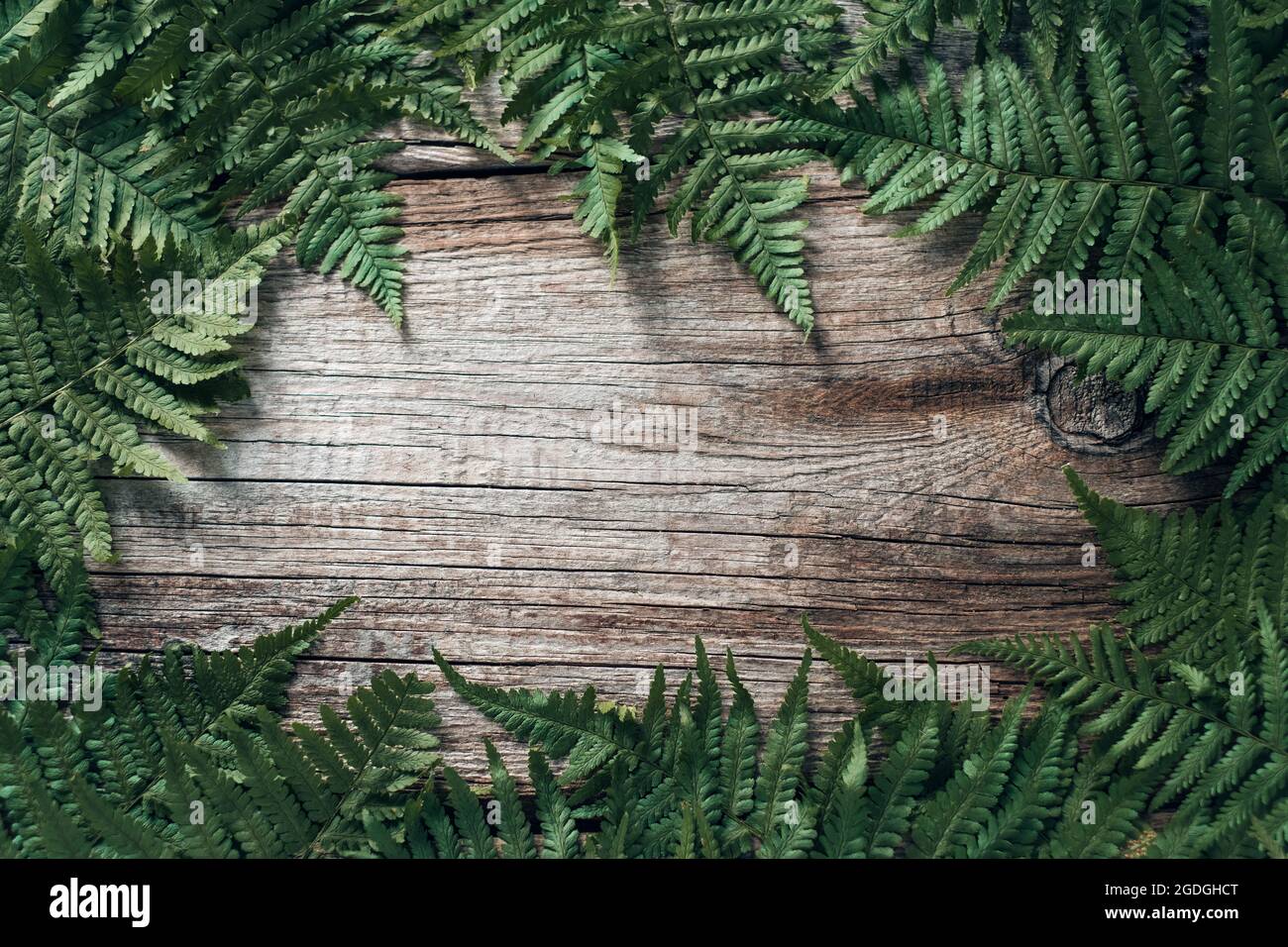 Fern leaves on wooden background. top view, flat lay, copy space Stock ...