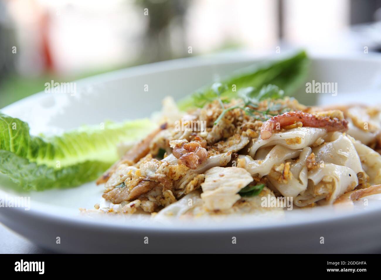 Fried rice noodle with chicken Stock Photo - Alamy