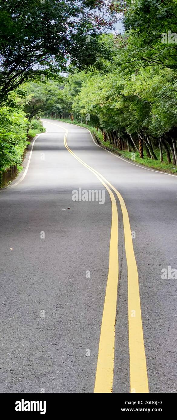 The Looking down a tree lined road into the distance Stock Photo - Alamy