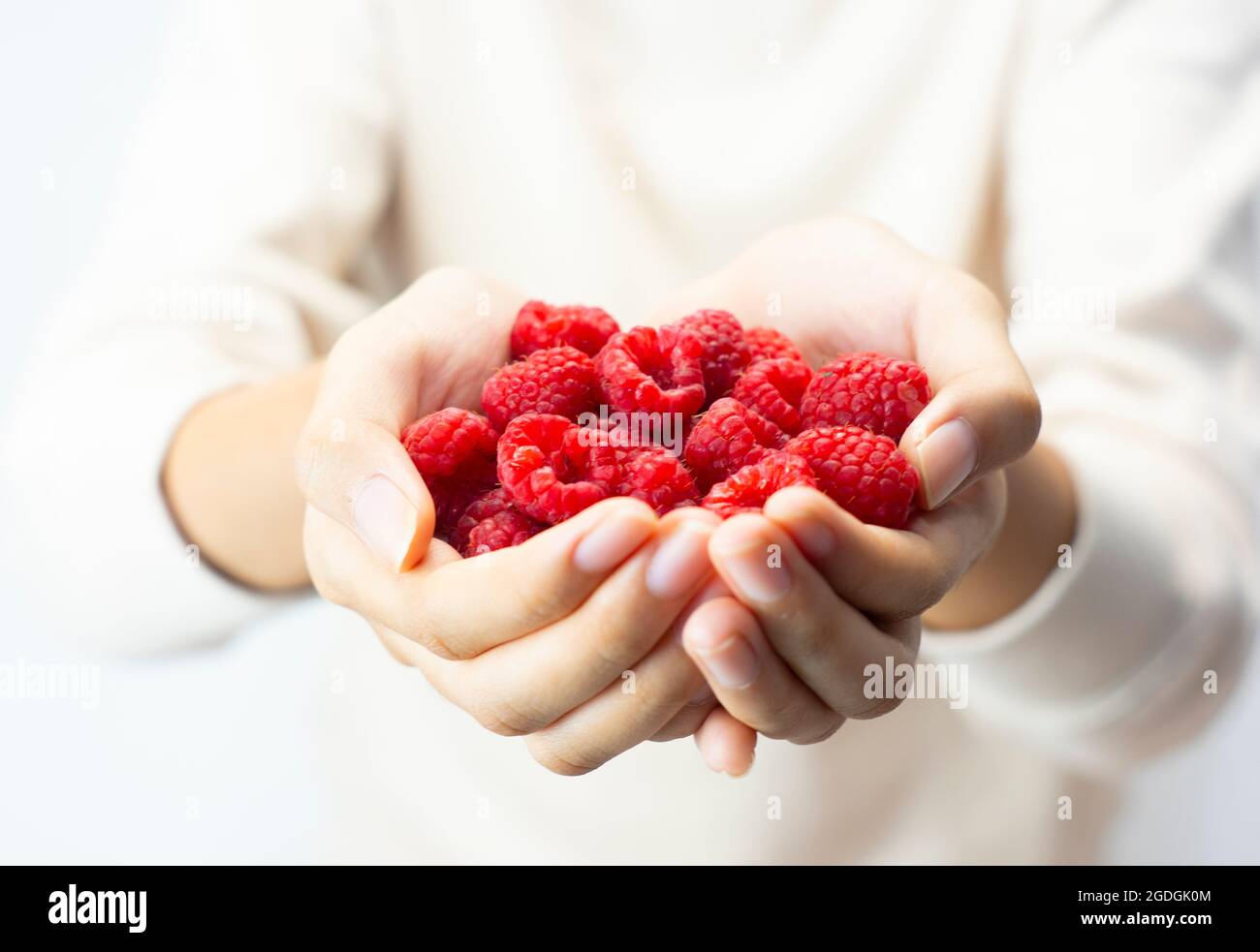 Raspberry harvest hi-res stock photography and images - Alamy