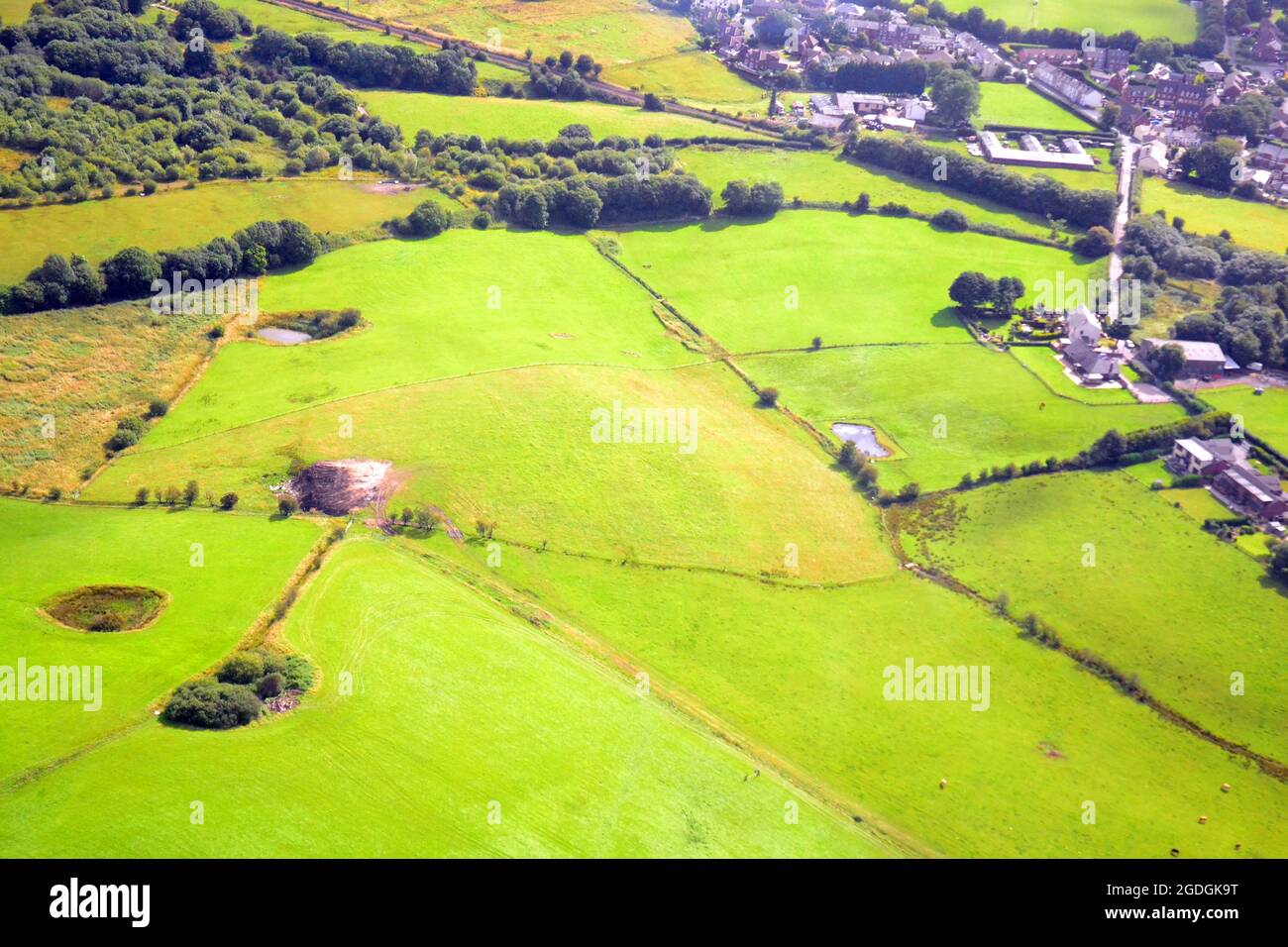 Terry Fields High Resolution Stock Photography and Images - Alamy