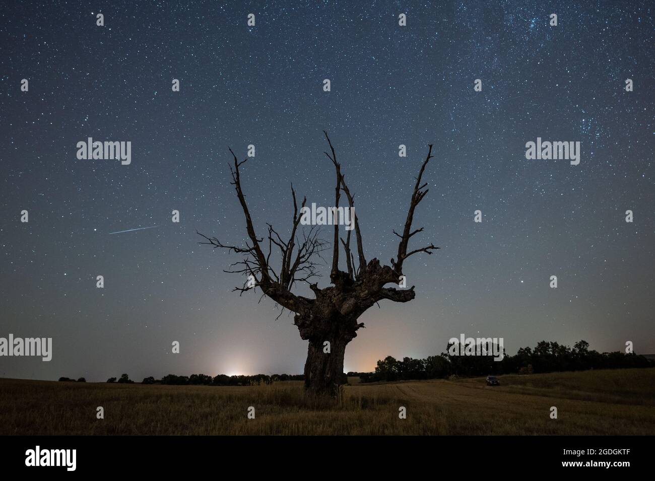 Brihuega, Spain. 13th Aug, 2021. A meteor crossing the summer night sky ...