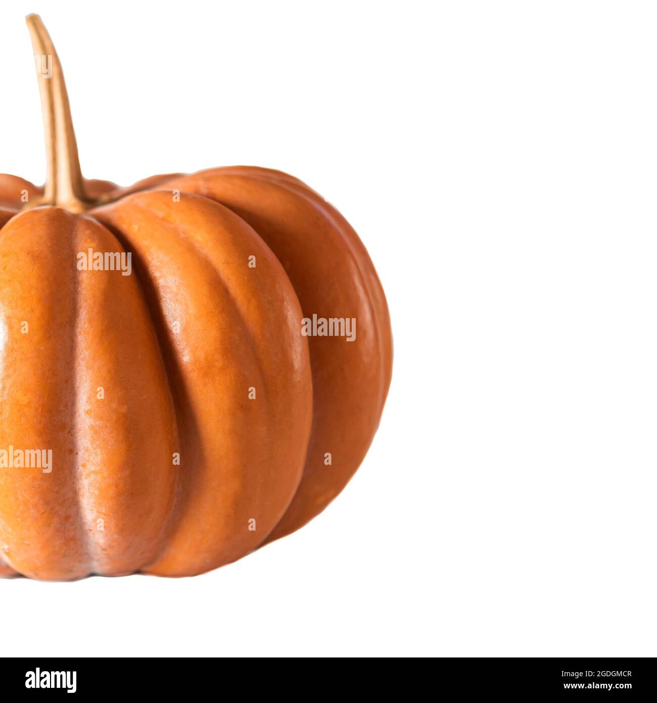 Single fresh orange miniature pumpkin isolated on white background ...